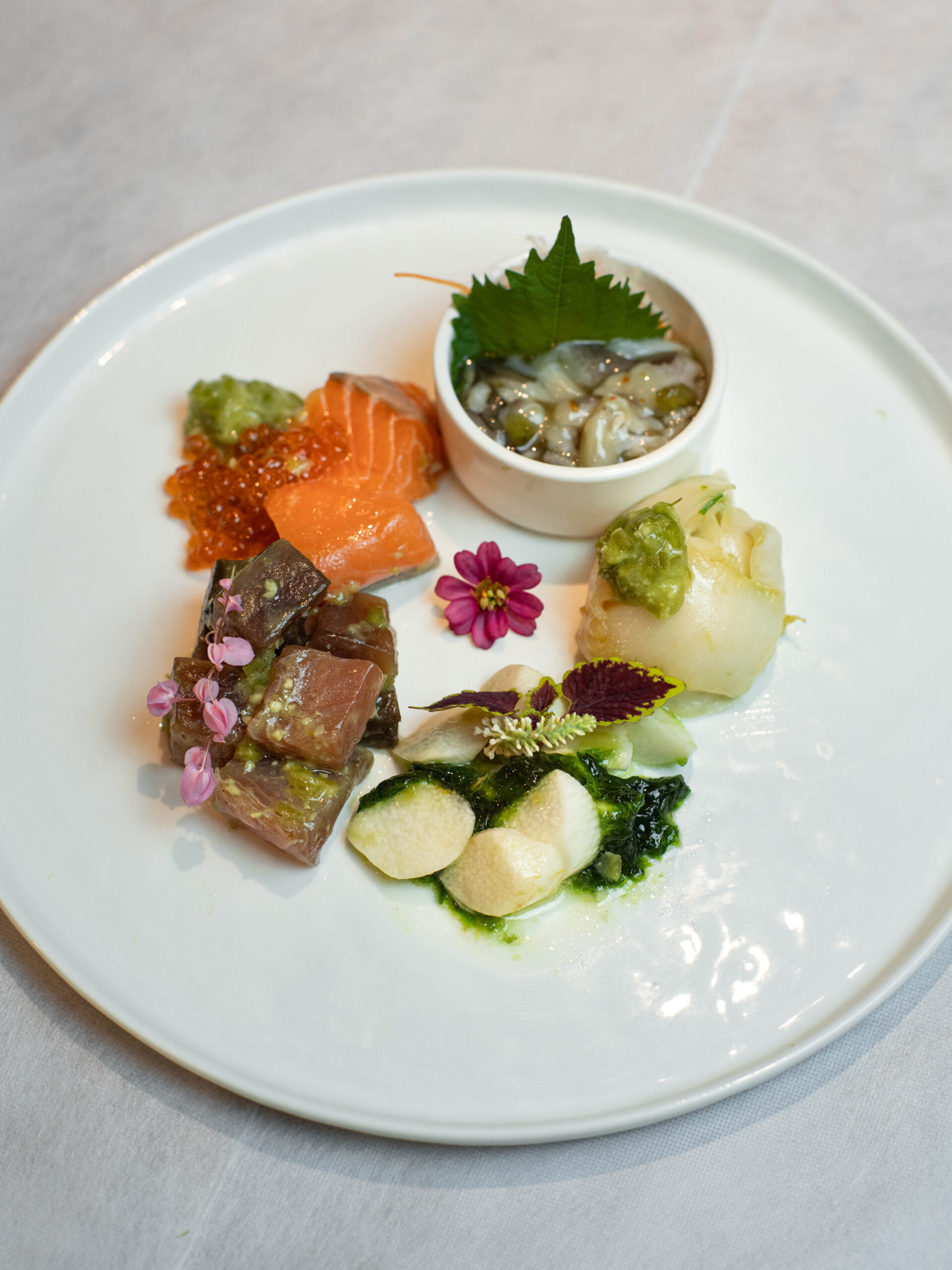 TAKO WASABI 5 KIND SET - เท็ปเป็น-TEPPEN